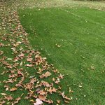 3-Point Dethatcher 60’’ CMP Attachments - Good Works Tractors