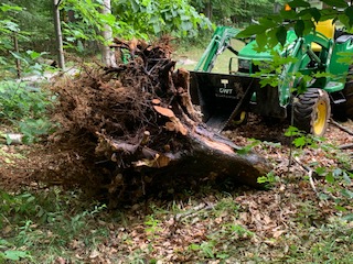 Stump Bucket for Tractors - GWT Mini Stump Wrecker