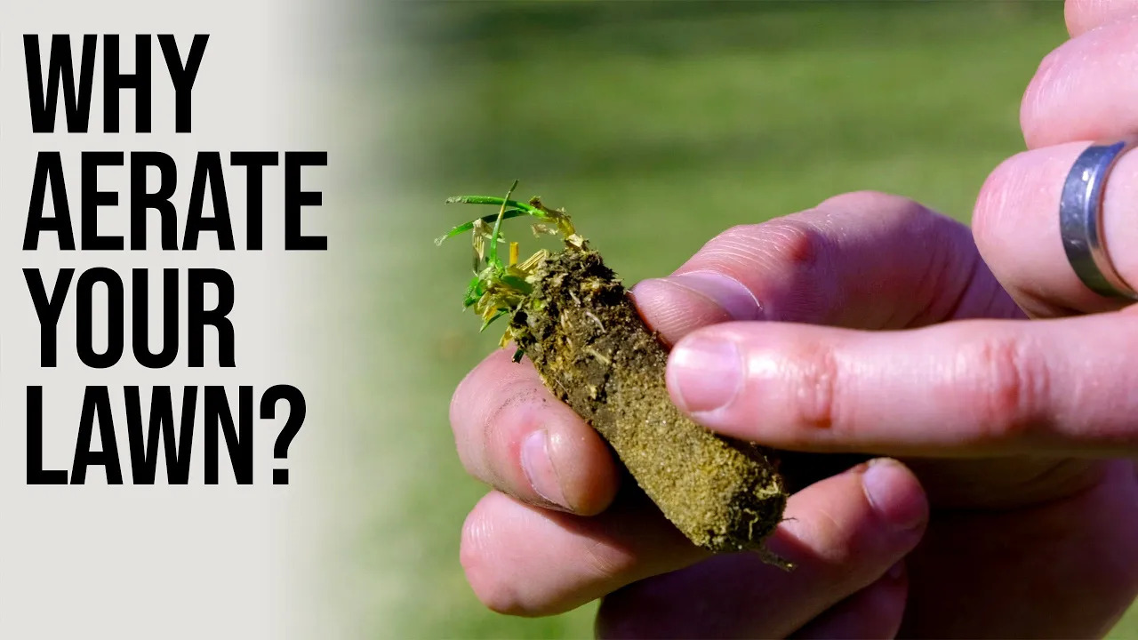 5 Reasons You Should Core Aerate (Plug) Your Lawn - Good Works Tractors