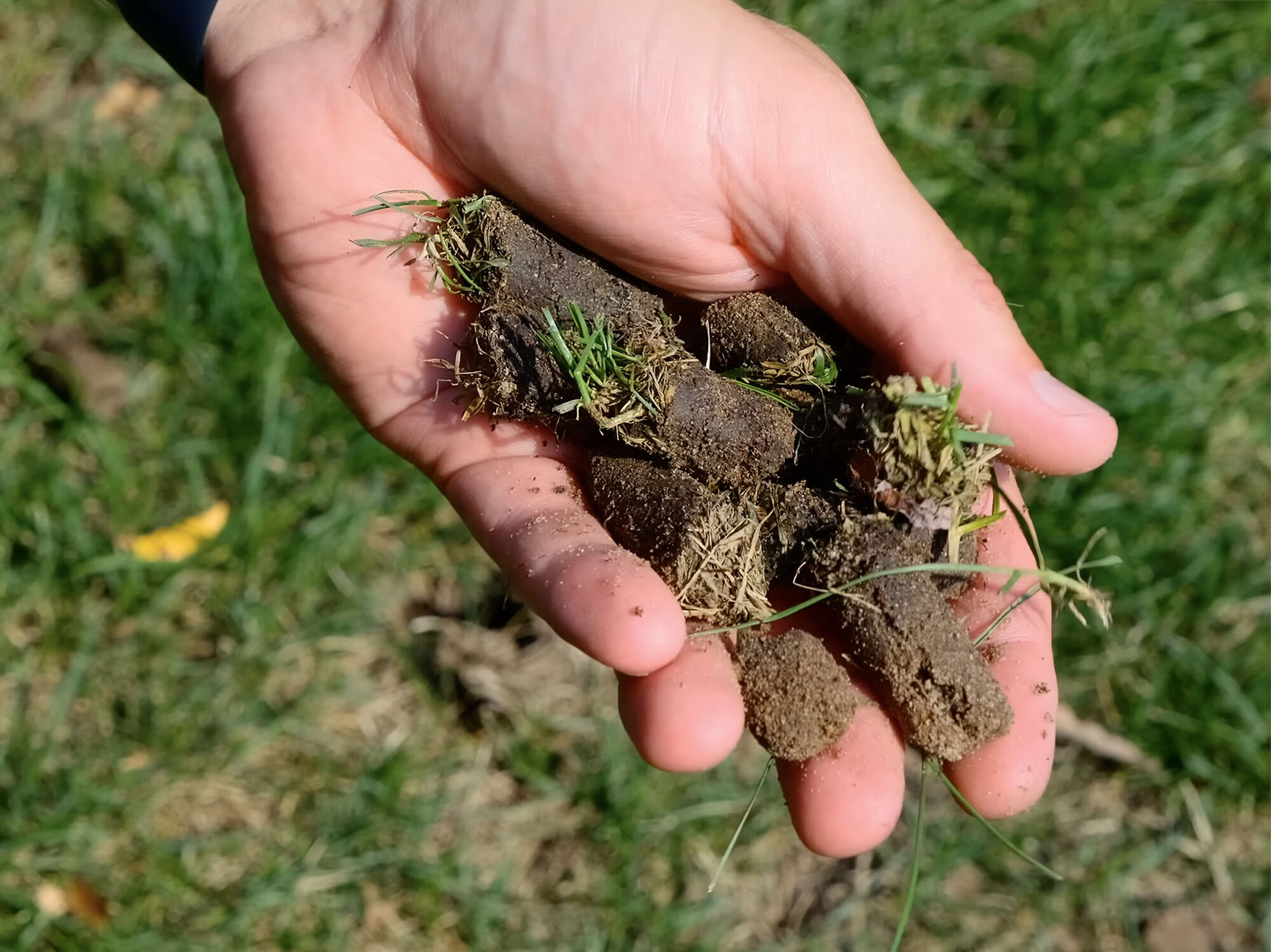 3-Point Aerator (Plugger) for Tractors | Dirt Dog Plugger